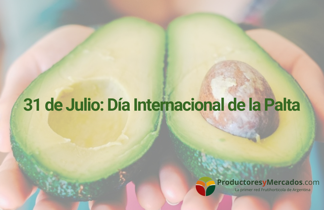🥑 31 de Julio: Día Internacional de la Palta - Productores y Mercados