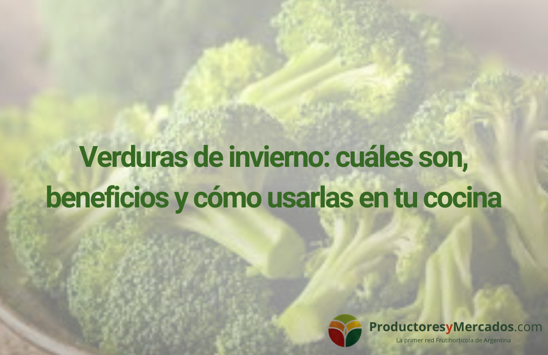 Verduras de invierno: cuáles son, beneficios y cómo usarlas en tu ...